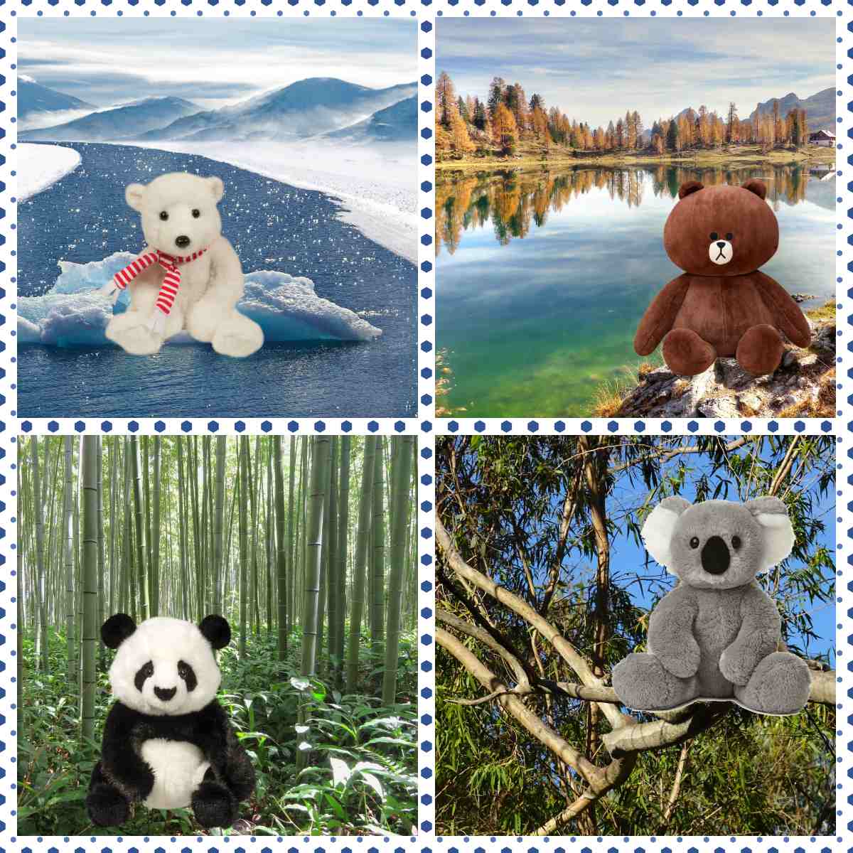 Frăția Ursuleților. O Poveste despre Prietenie cu Ursuleți și Dorințe ...